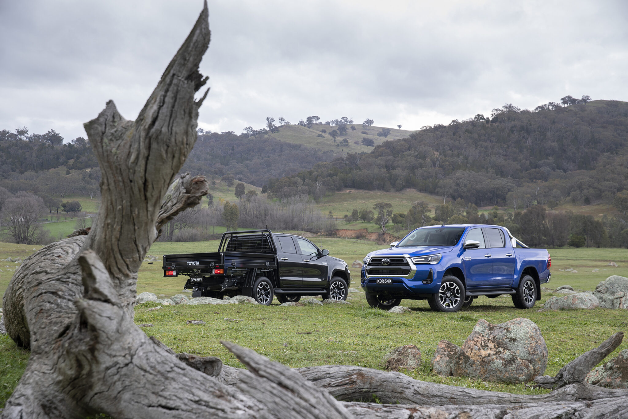EV ute overload: The electric pickups coming soon - EV Central