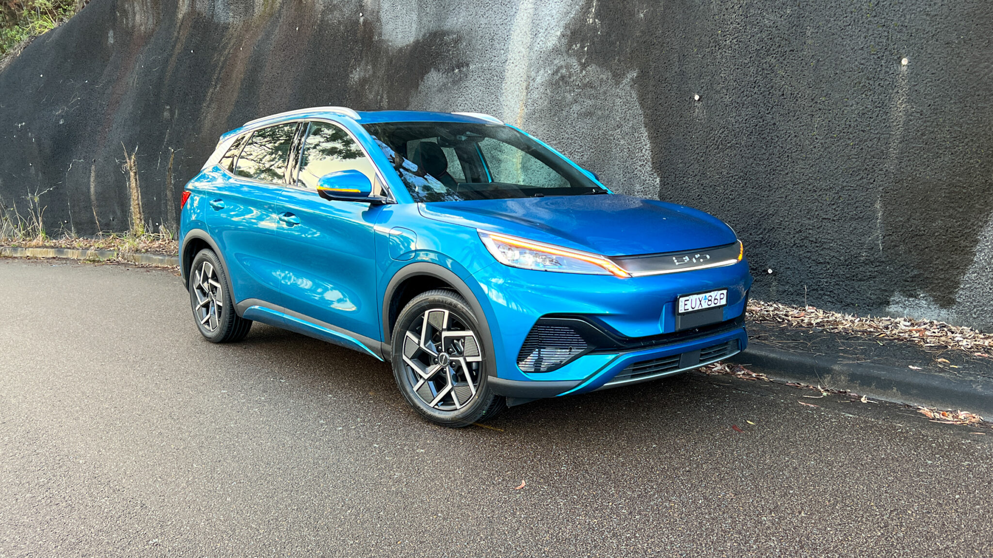 $29,990 Dolphin dives in! BYD wins the race to price an EV under ...