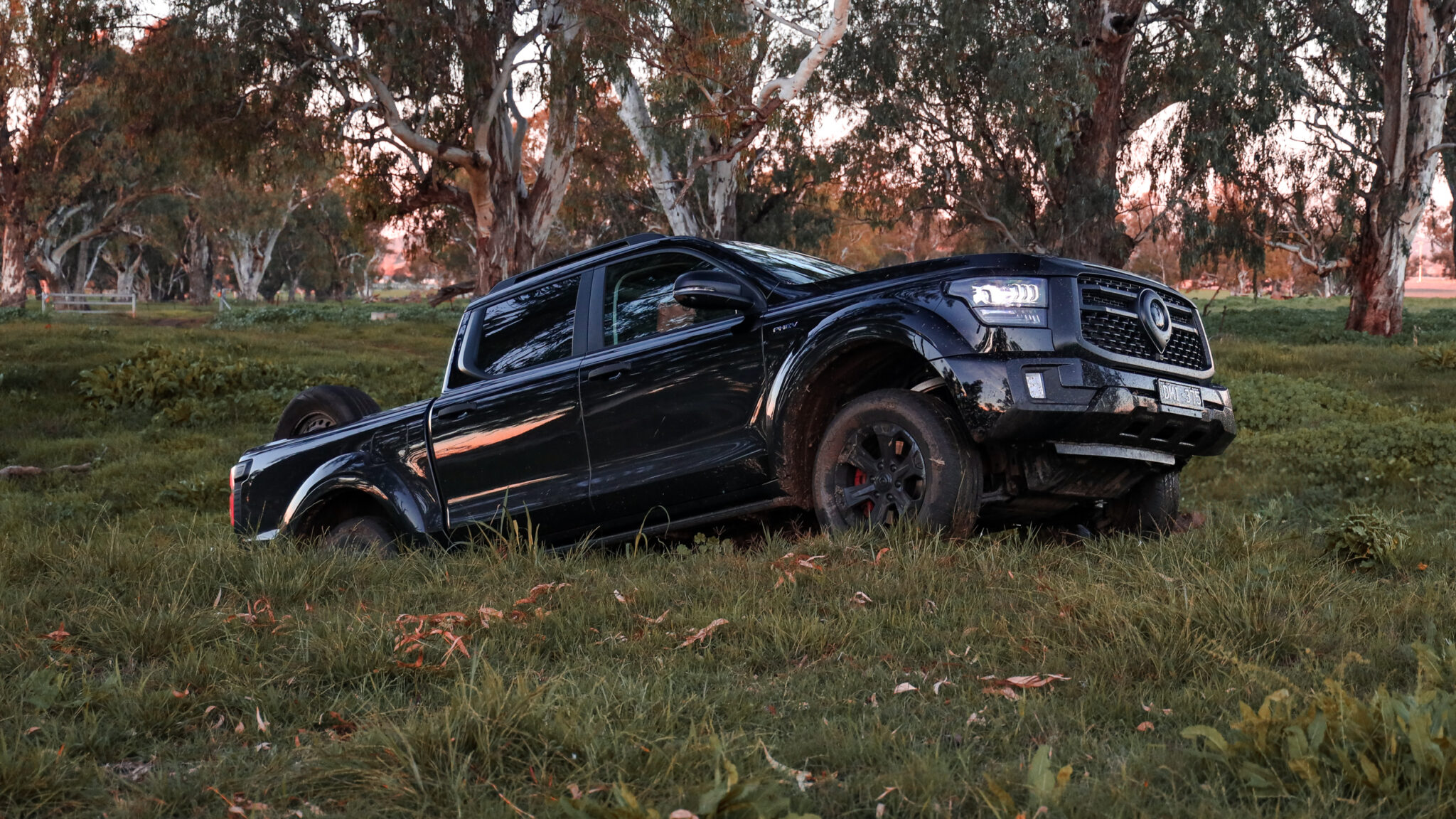 2025 GWM Cannon Alpha PHEV Review: Why the first rival for the BYD ...